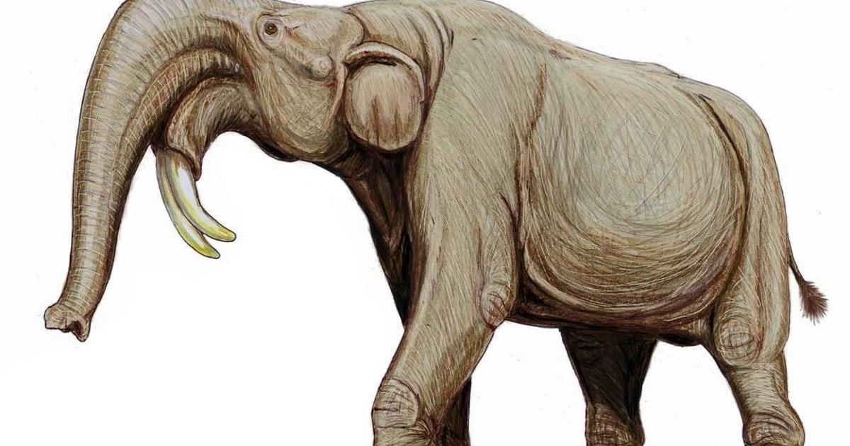 La Nación / Hallados en Rumanía los fósiles de un ancestro del elefante