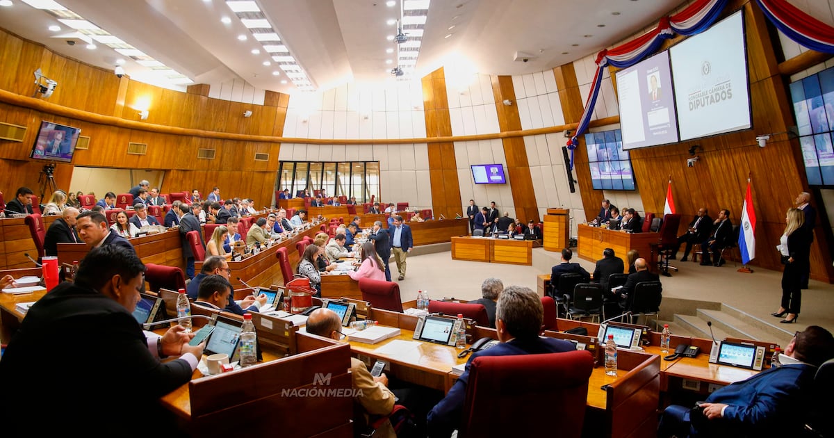 La Nación Cámara De Diputados Aprobó En General Pgn 2025