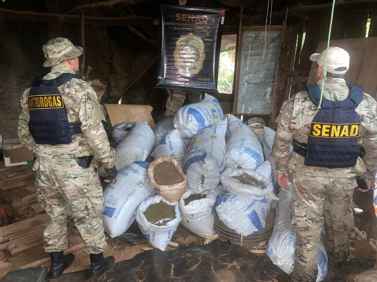 Diario HOY | Golpe de USD 2 millones a narcos con destrucción de producción